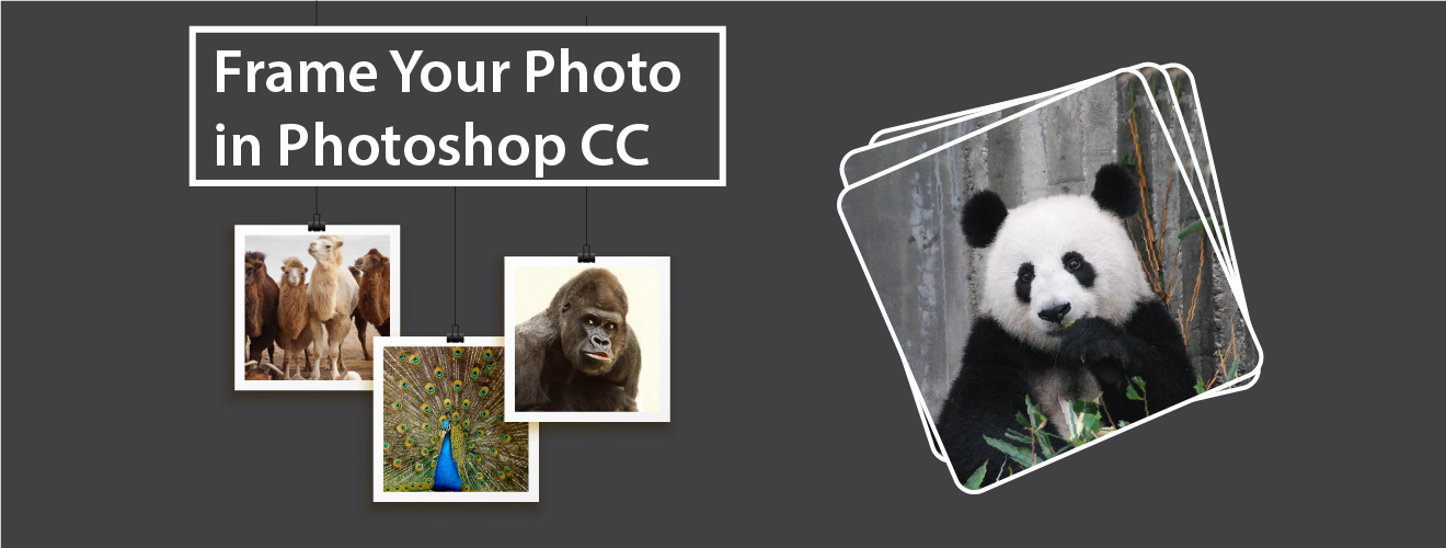 Frame Your Photo in Photoshop CC - TechnoKids Blog