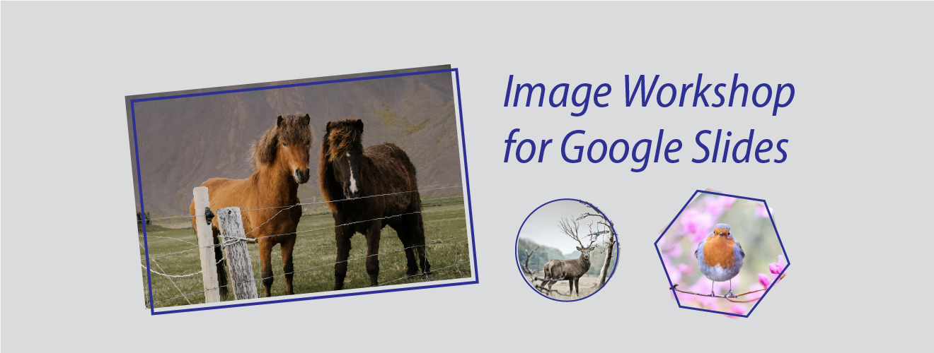 Image Workshop for Google Slides - TechnoKids Blog