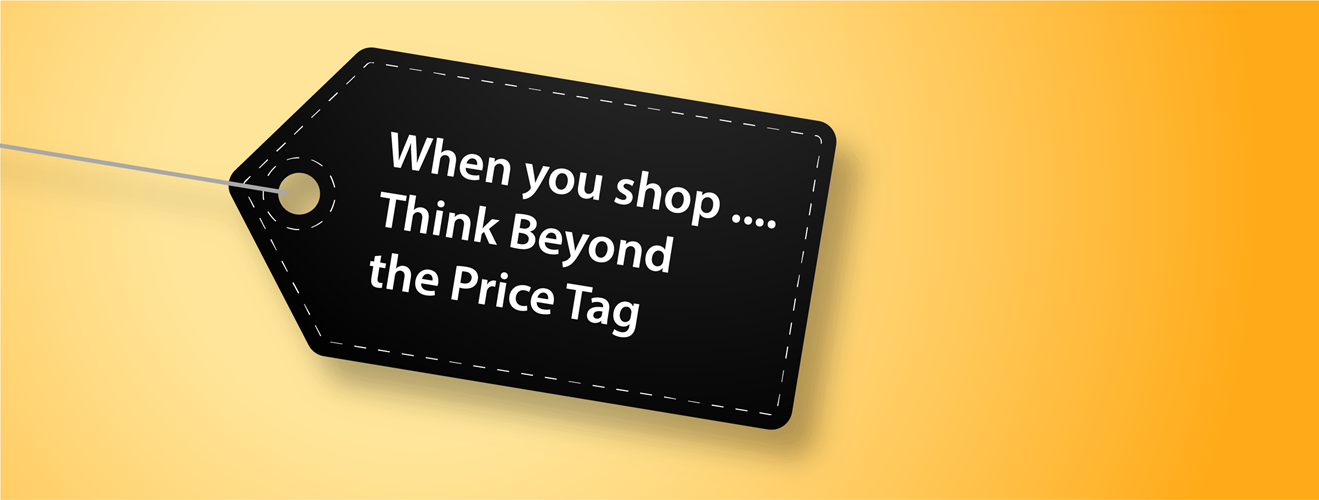 Think Beyond the Price Tag - TechnoKids Blog