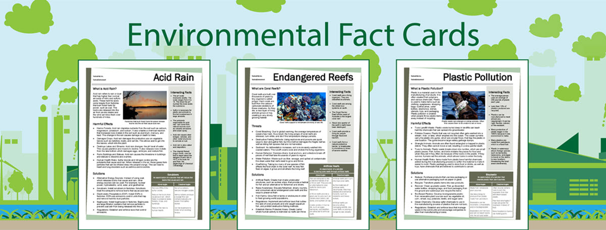 5 Reasons to Use Fact Cards for Research - TechnoKids Blog